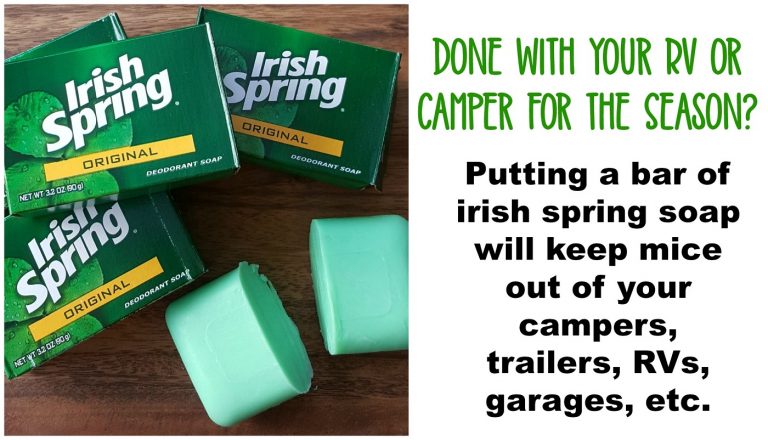 Hacks to Prevent Mice Going in Campers and RVs - Crafty Morning