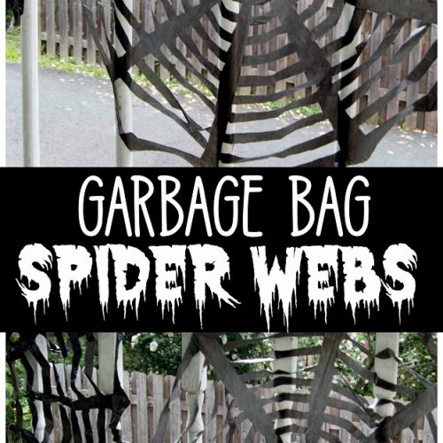 Funny Toilet Paper Spider Prank - Crafty Morning