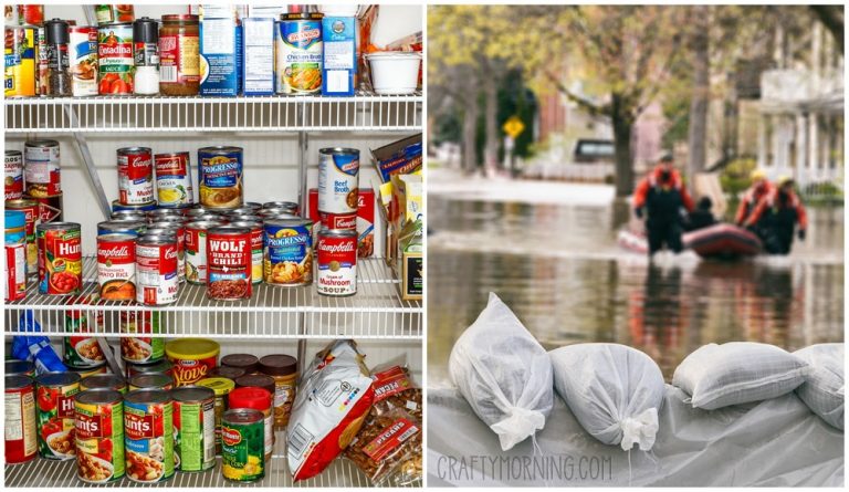 15 Survival Foods that Every Family Should Have for an Emergency ...