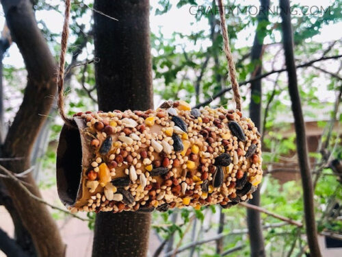 How to Make a Cardboard Tube Bird Feeder - Crafty Morning