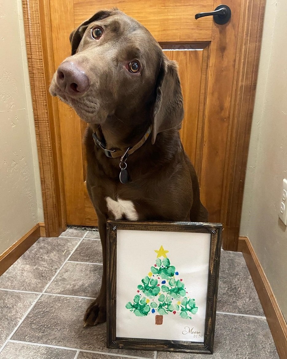 Paw Print Christmas Tree Keepsake - Crafty Morning