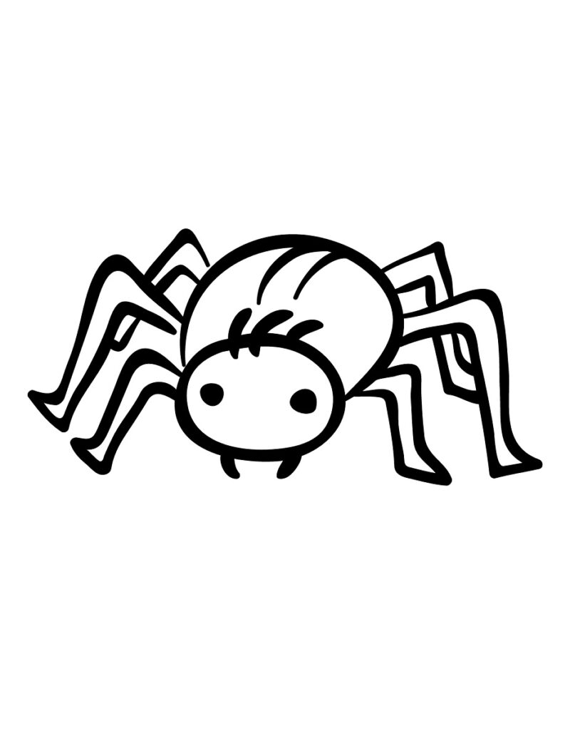 Easy Spider Drawing- Step by Step Printable - Crafty Morning