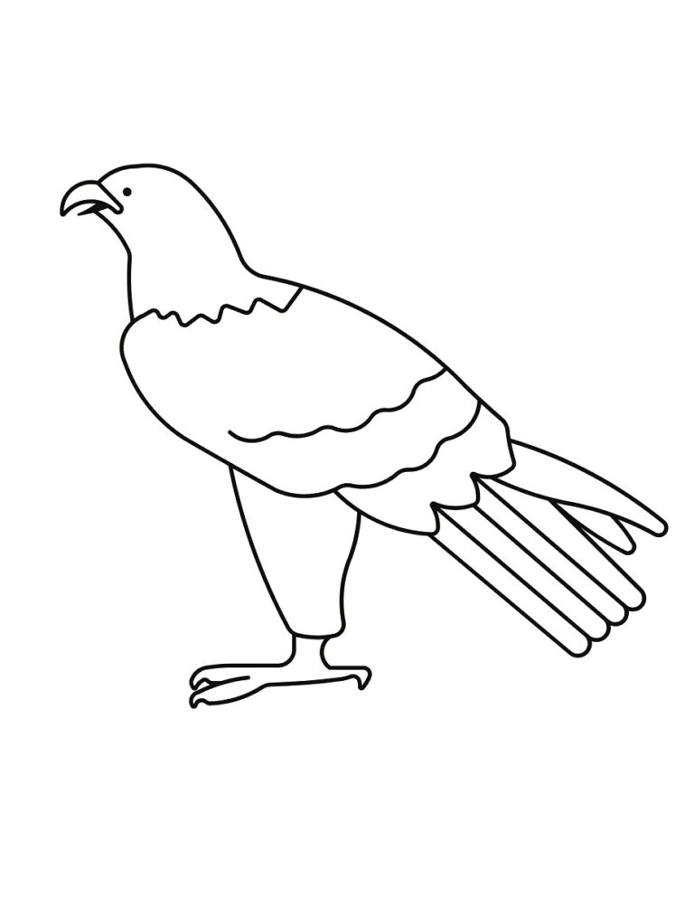 How to Draw an Eagle (Step by Step Printable) - Crafty Morning