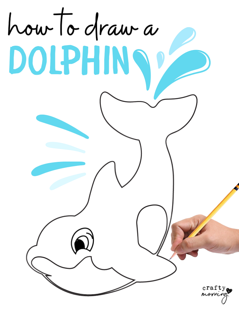 How to Draw a Dolphin Step by Step