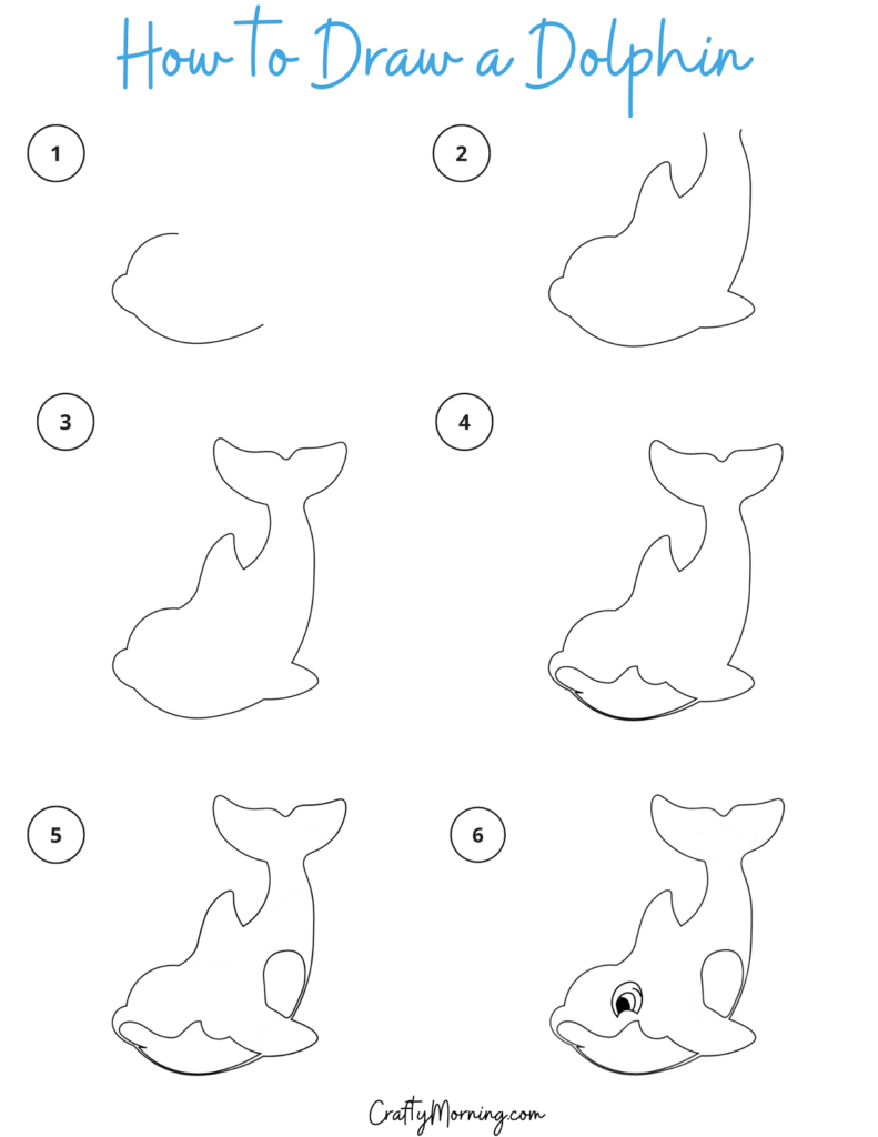 How to Draw a Dolphin Step by Step