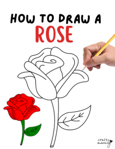 How to Draw a Rose Step by Step (Easy)