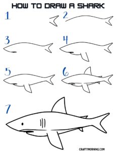 How to Draw a Shark (Easy Step by Step) - Crafty Morning