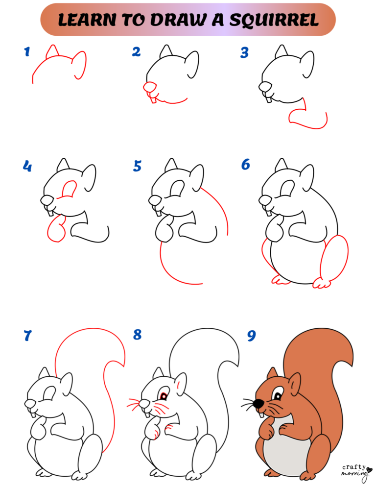 How to Draw a Squirrel (Easy Step by Step)