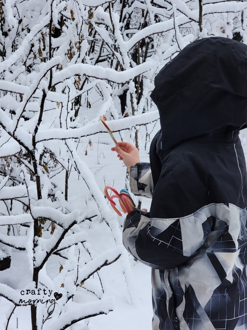 Go on a Candy Cane Hunt - Crafty Morning