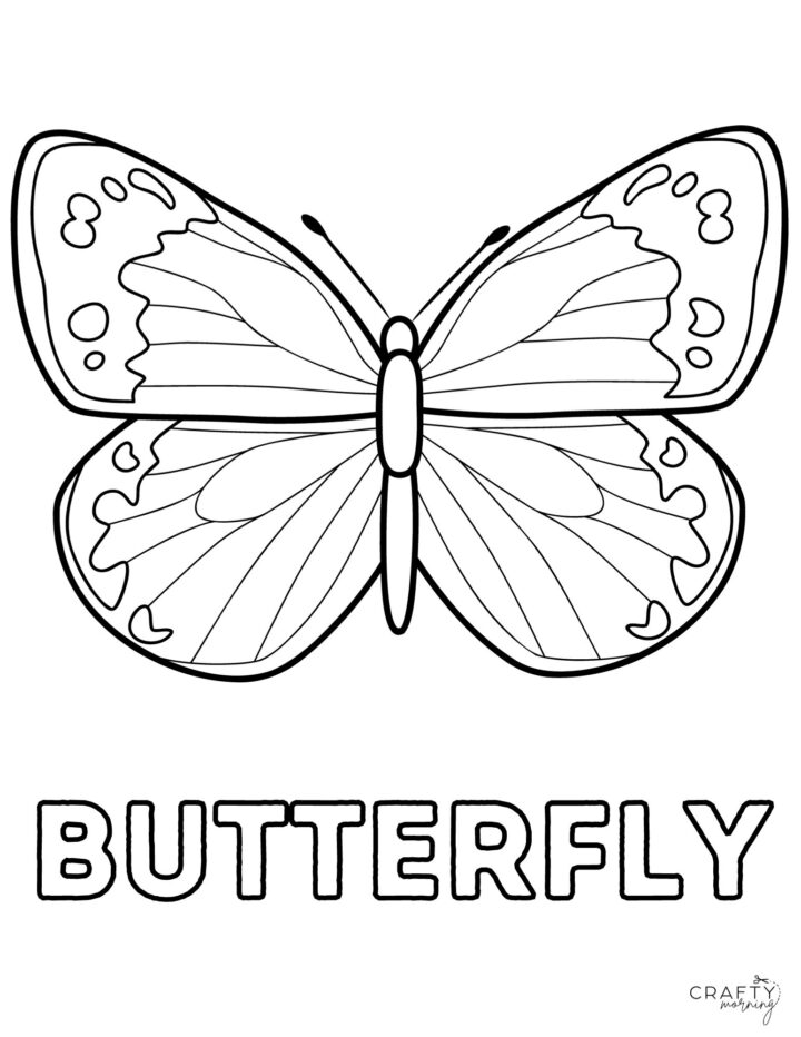 Free Butterfly Coloring Pages to Print - Crafty Morning