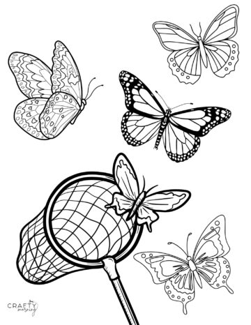 Free Butterfly Coloring Pages to Print - Crafty Morning