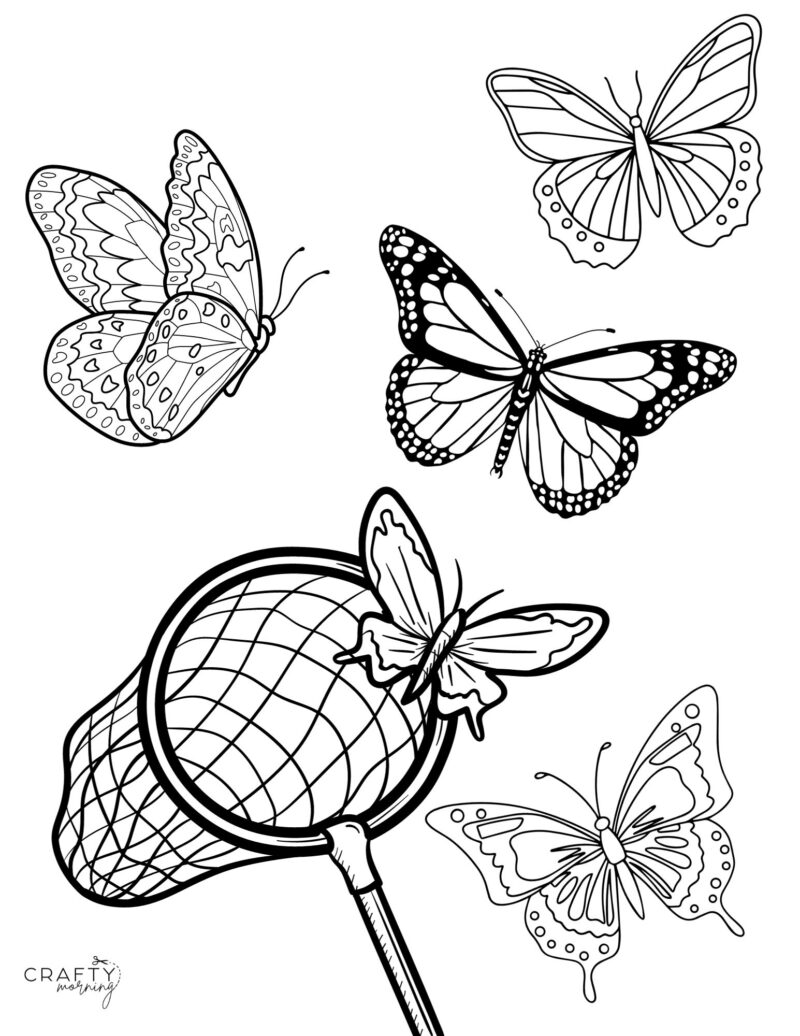 Free Butterfly Coloring Pages to Print - Crafty Morning