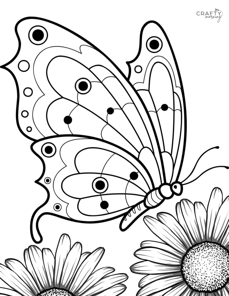 Free Butterfly Coloring Pages to Print - Crafty Morning