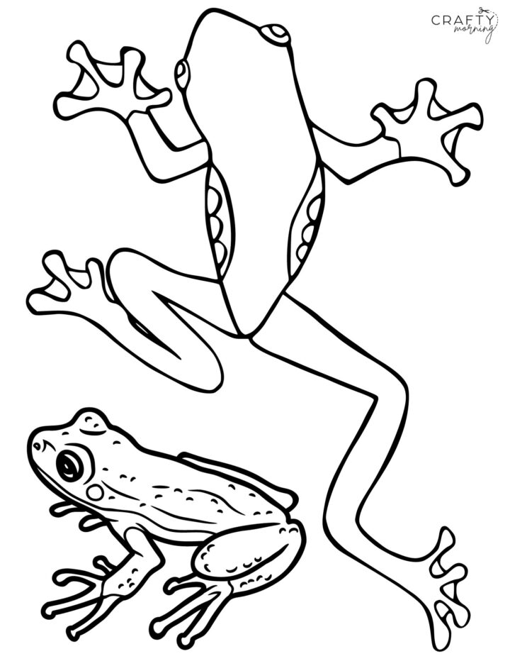 Free Frog Coloring Pages to Print - Crafty Morning