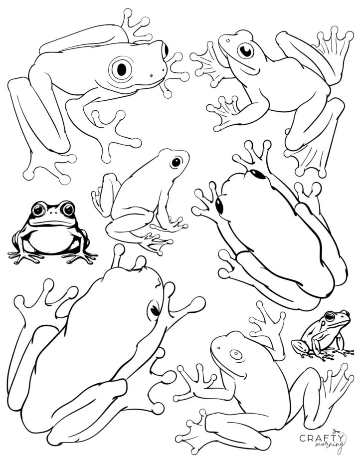 Free Frog Coloring Pages to Print - Crafty Morning