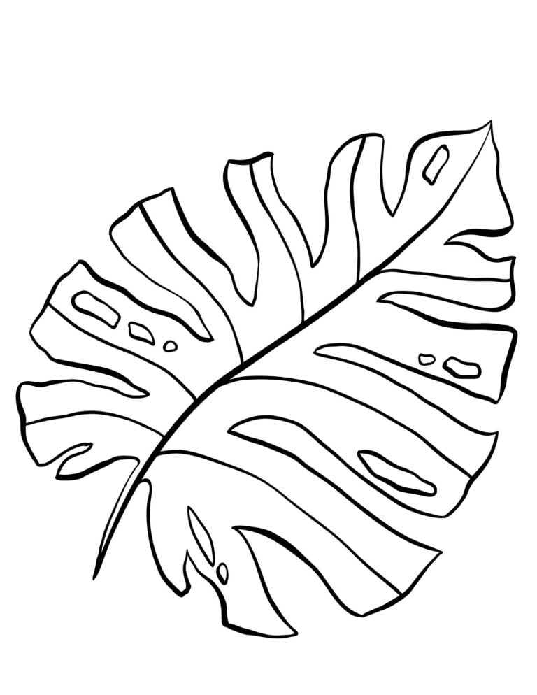Printable Leaf Outline Templates - Crafty Morning