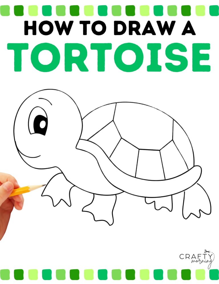 Drawing a Tortoise (Step by Step Tutorial) - Crafty Morning