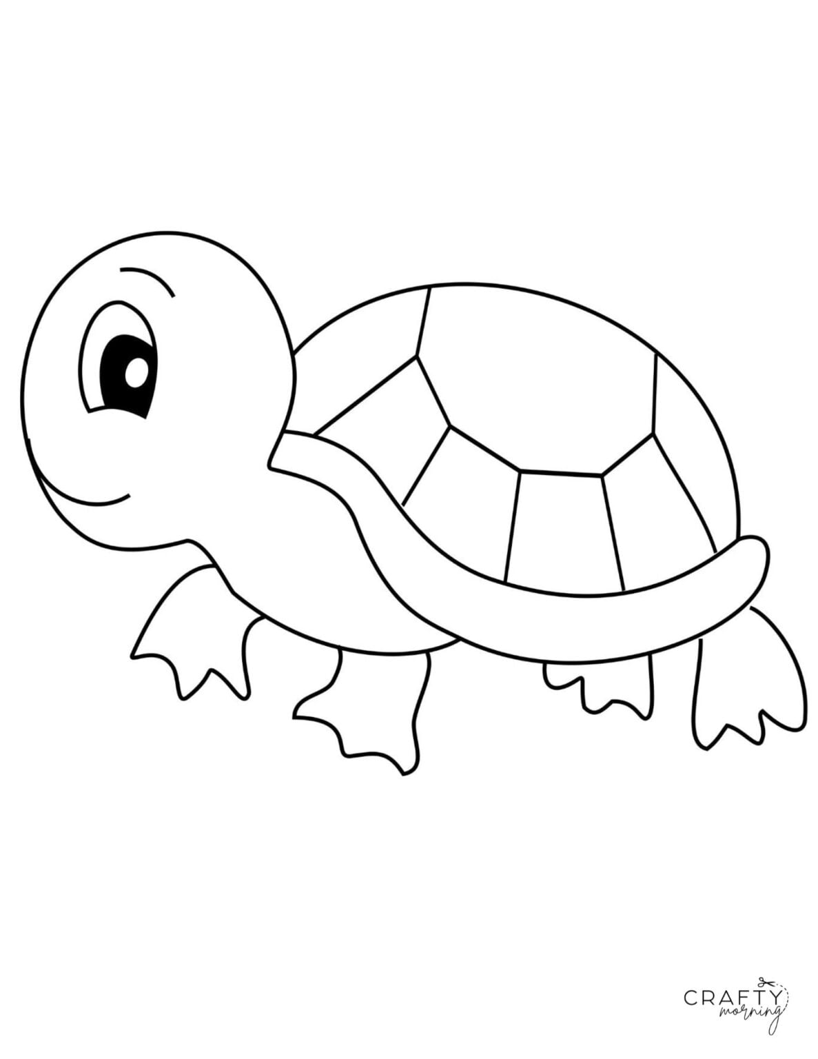 Drawing a Tortoise (Step by Step Tutorial) - Crafty Morning