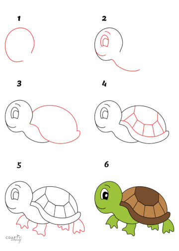 Drawing a Tortoise (Step by Step Tutorial) - Crafty Morning