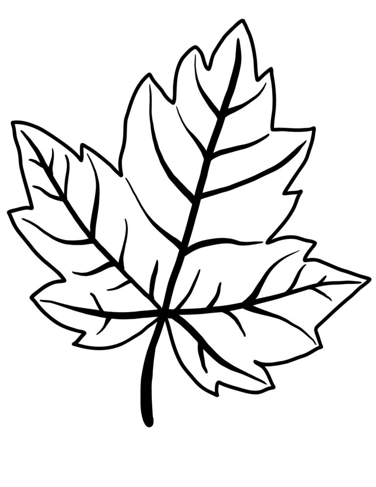 Printable Leaf Outline Templates - Crafty Morning