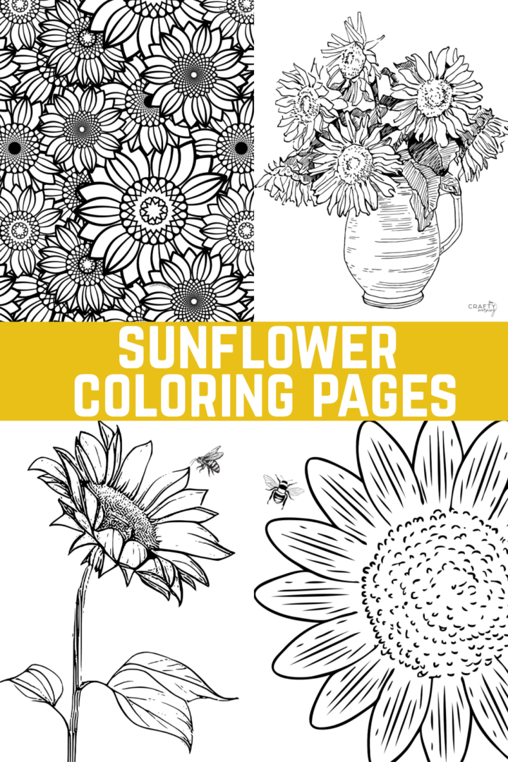 Free Printable Sunflower Coloring Pages - Crafty Morning