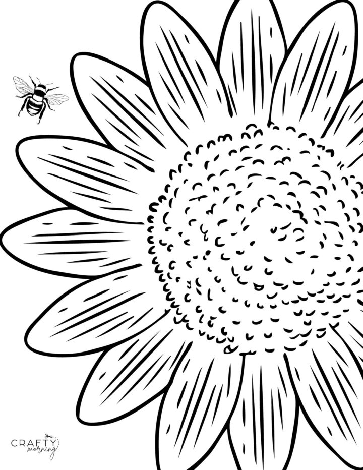 Free Printable Sunflower Coloring Pages - Crafty Morning