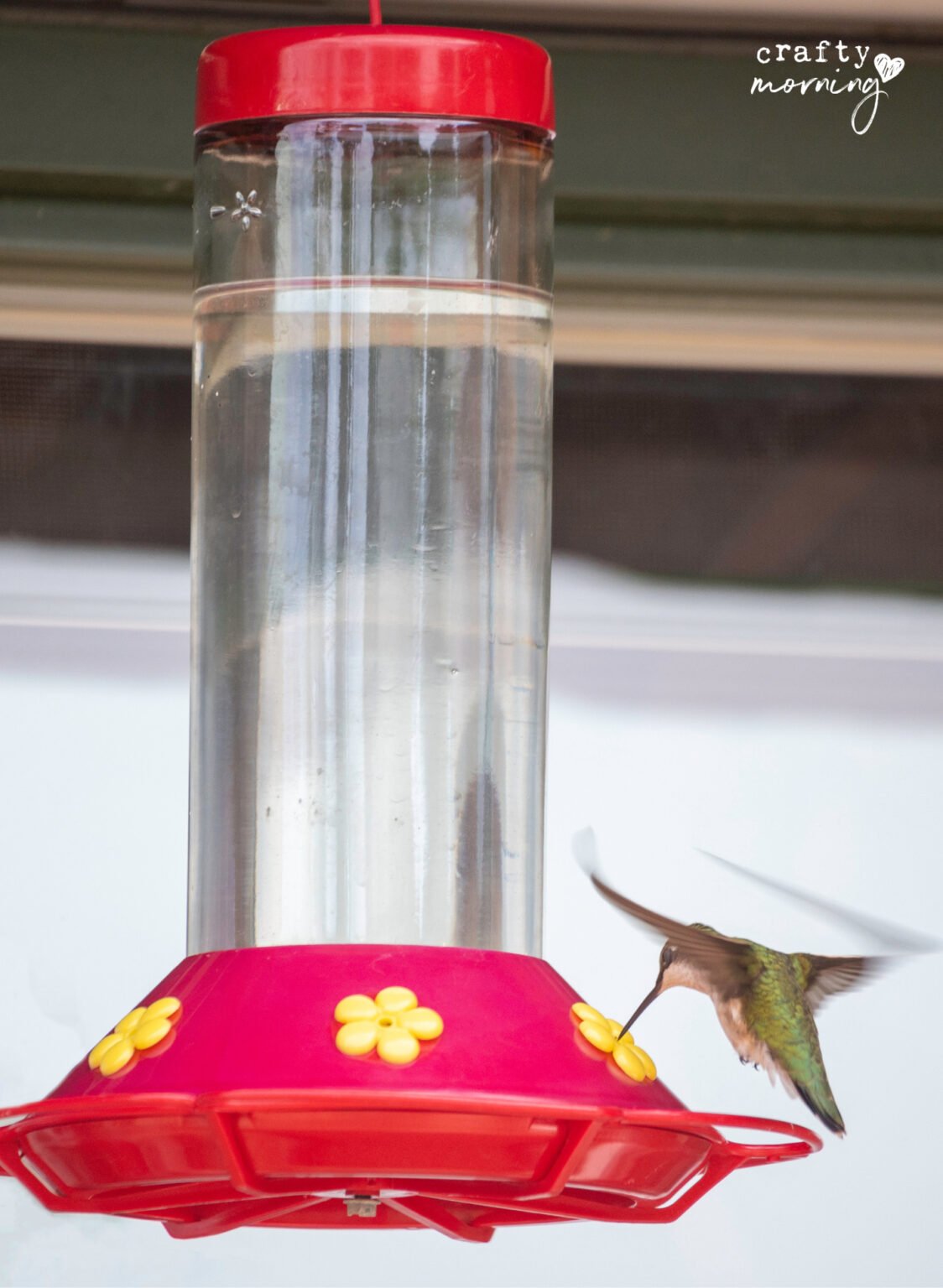 Homemade Hummingbird Nectar Recipe - Crafty Morning