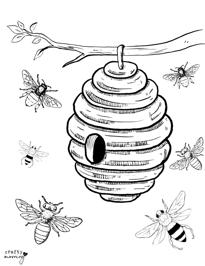 Free Bee Coloring Pages - Crafty Morning
