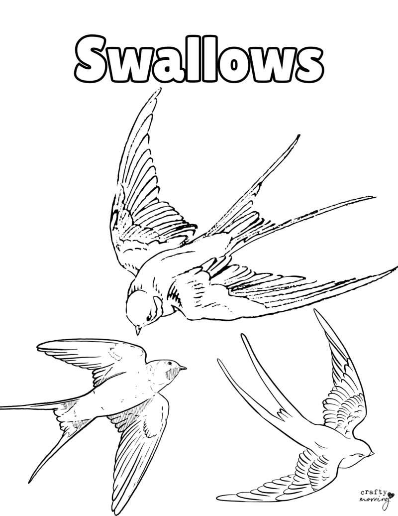 Free Bird Coloring Pages - Crafty Morning