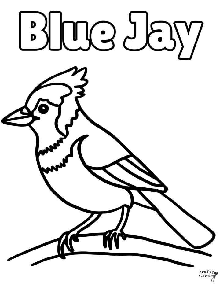 Free Bird Coloring Pages - Crafty Morning
