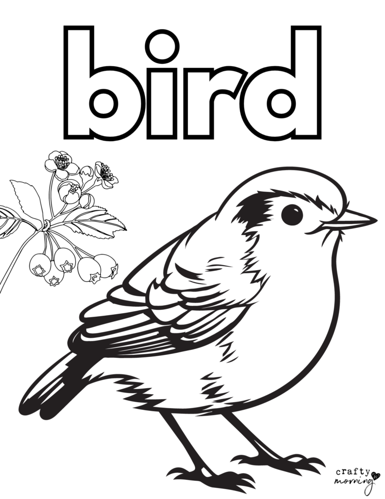 Free Bird Coloring Pages - Crafty Morning