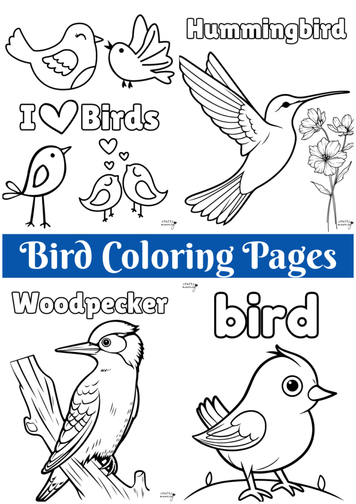 Free Bird Coloring Pages - Crafty Morning