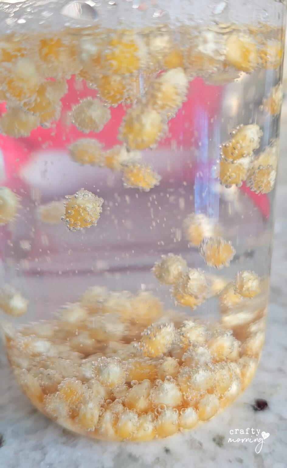 Dancing Popcorn Experiment - Crafty Morning