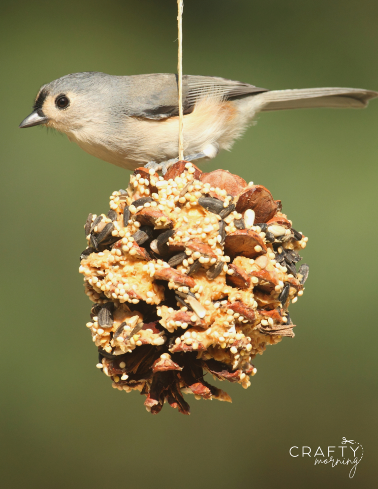 How to Make a Pinecone Bird Feeder - Crafty Morning