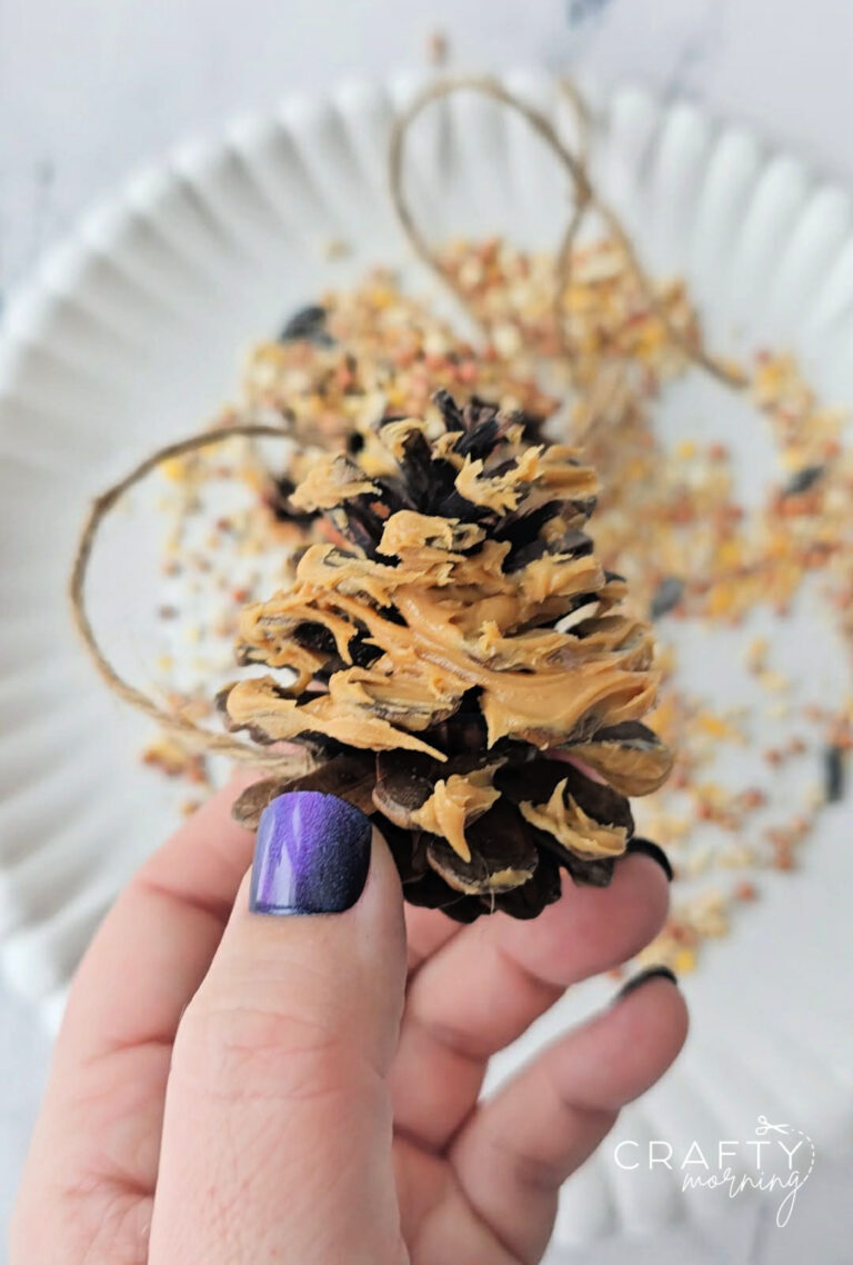 How to Make a Pinecone Bird Feeder - Crafty Morning